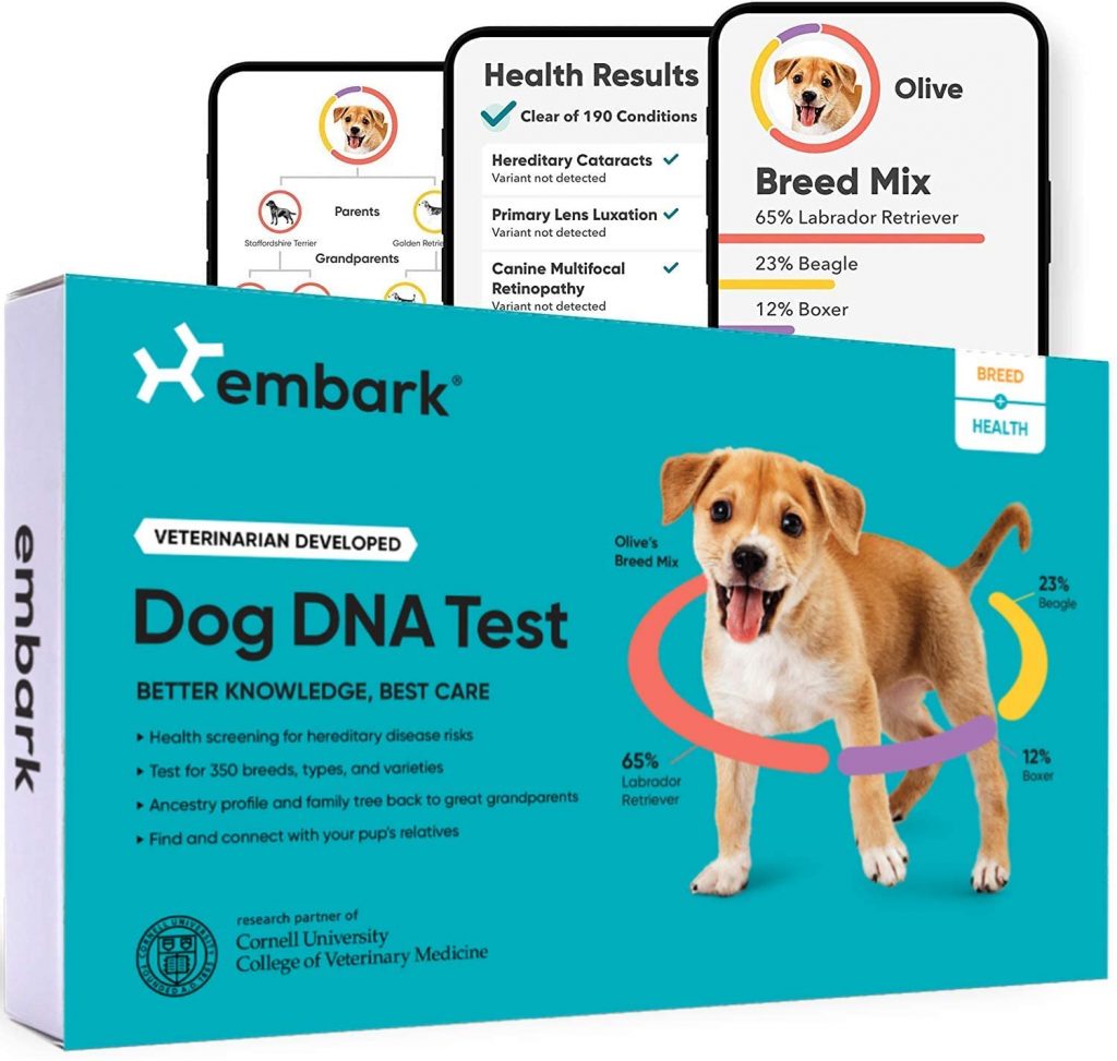 Whelping: The Essential Process of Dog Breeding and Care